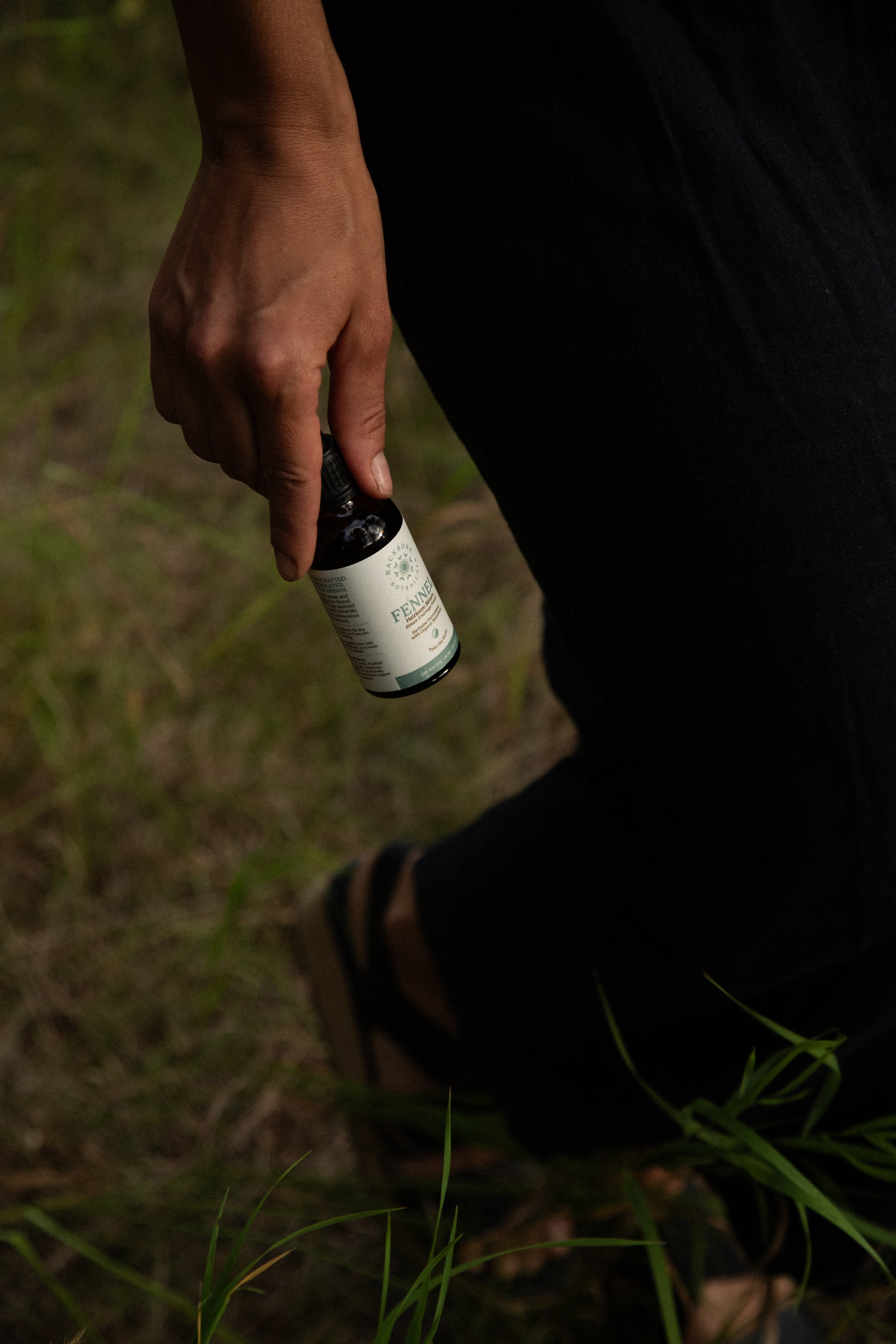 Fennel Heirloom Bitters – Backbone Botanicals